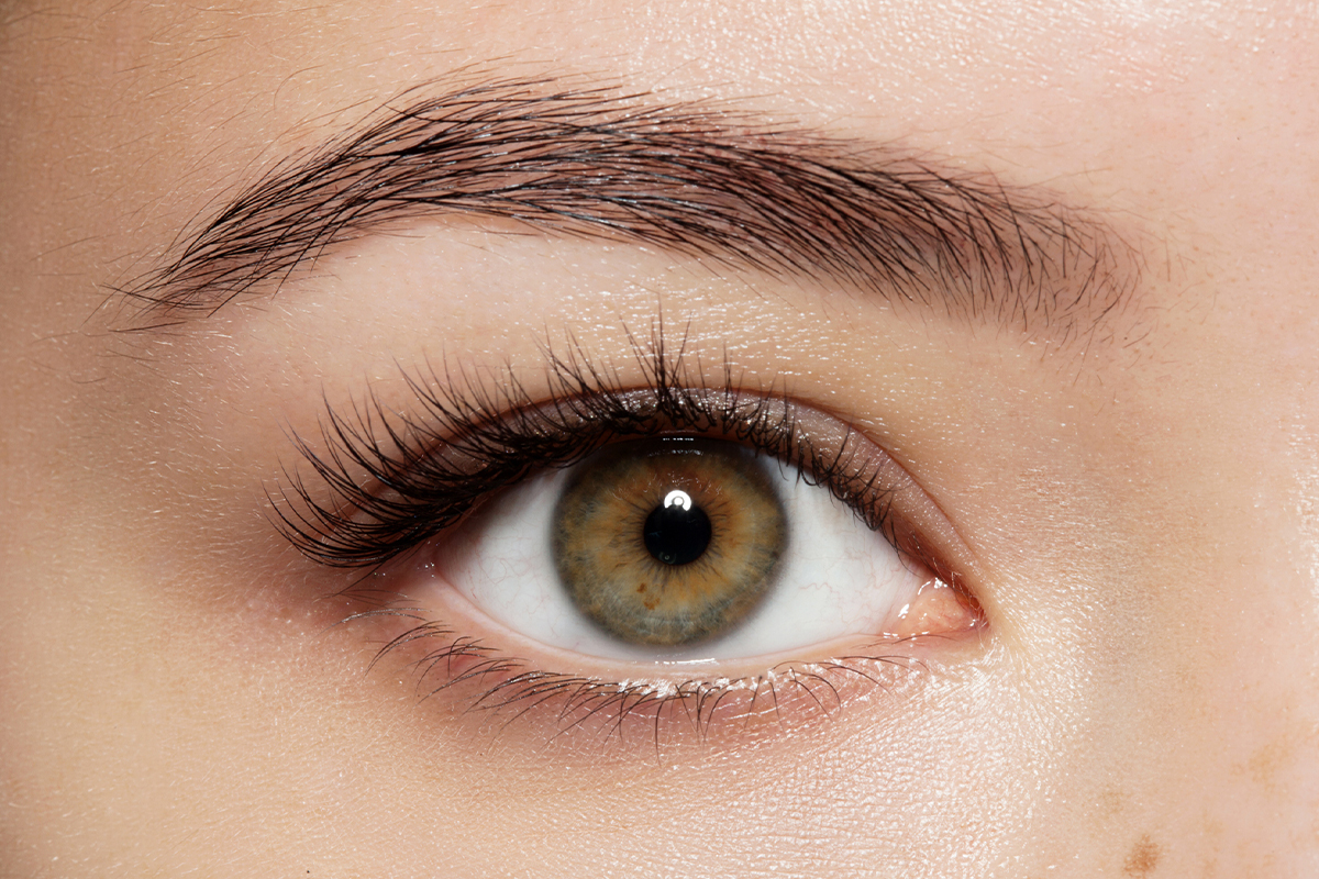 Lashes in Shelby Township, MI | XO Aesthetics